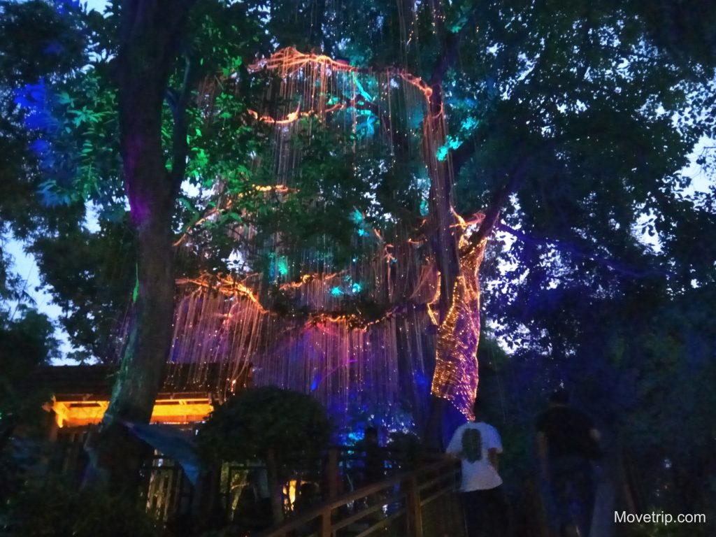 เดินเล่นชมสวนลับในปีนัง Penang Avatar Secret Garden – Movetrip